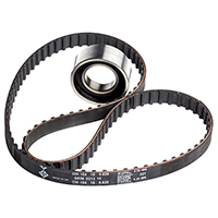Ina Timing Belt Kit | Euro Car Parts