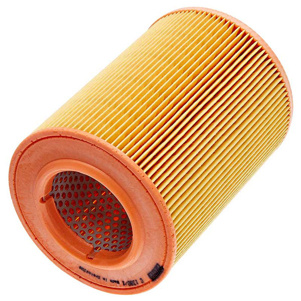 MANN-FILTER Air Filter | Euro Car Parts