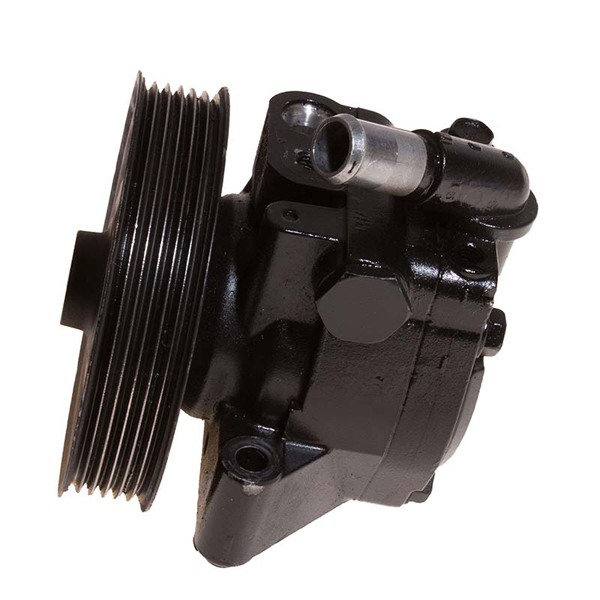 PAS Pump | Euro Car Parts